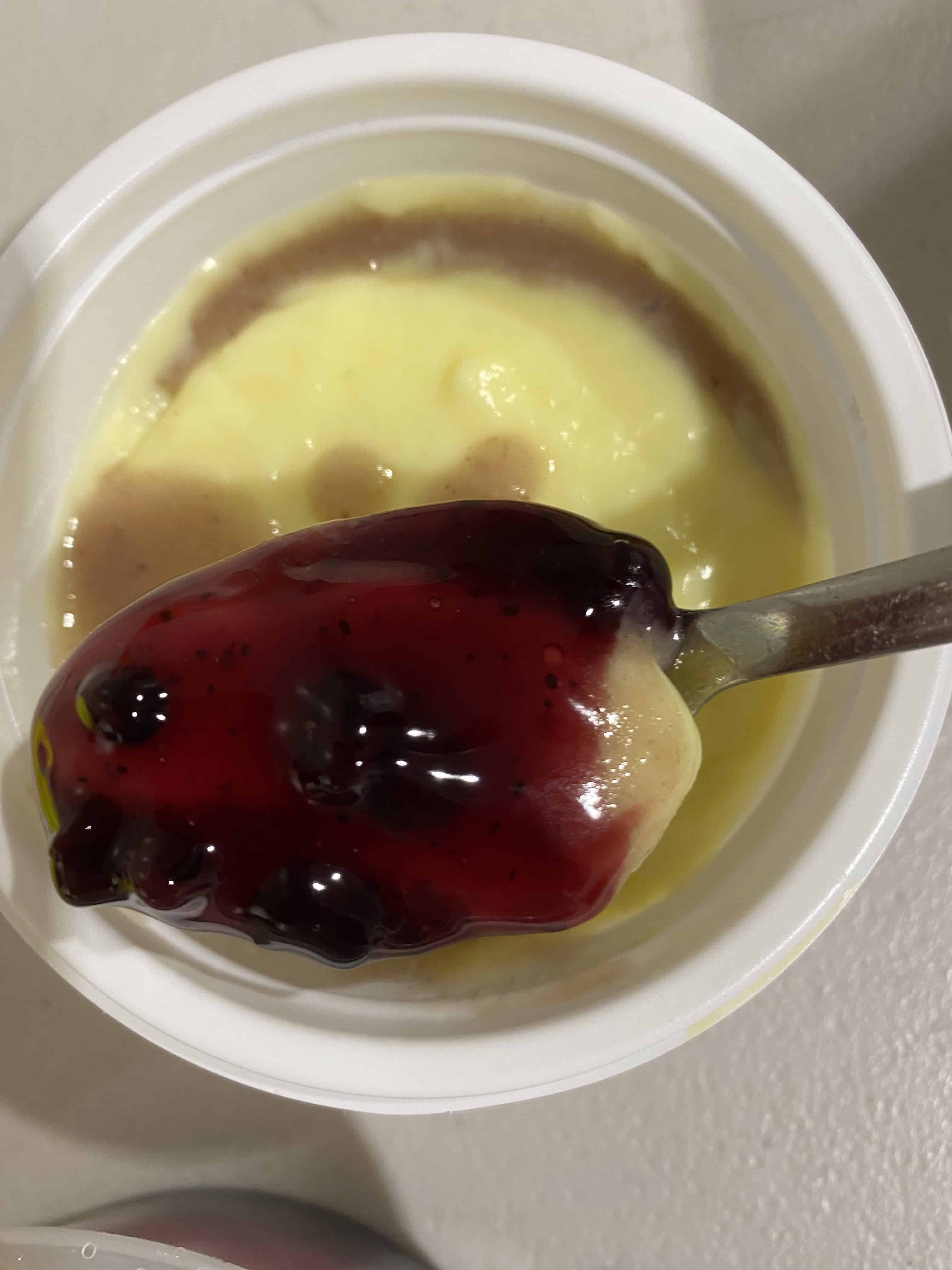 Forest Fruits Pudding - Ranahans Special Diets