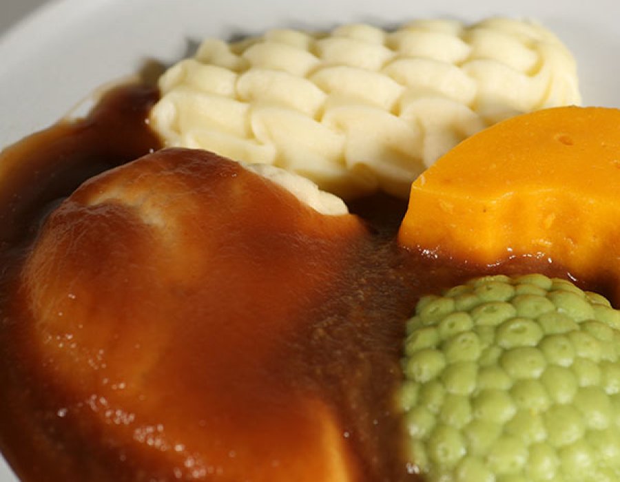 Purée & moist minced meals - Ranahans Special Diets