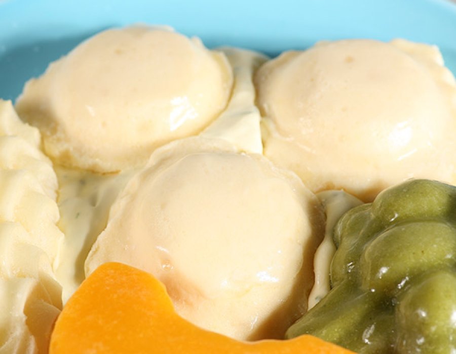 Purée & moist minced meals - Ranahans Special Diets